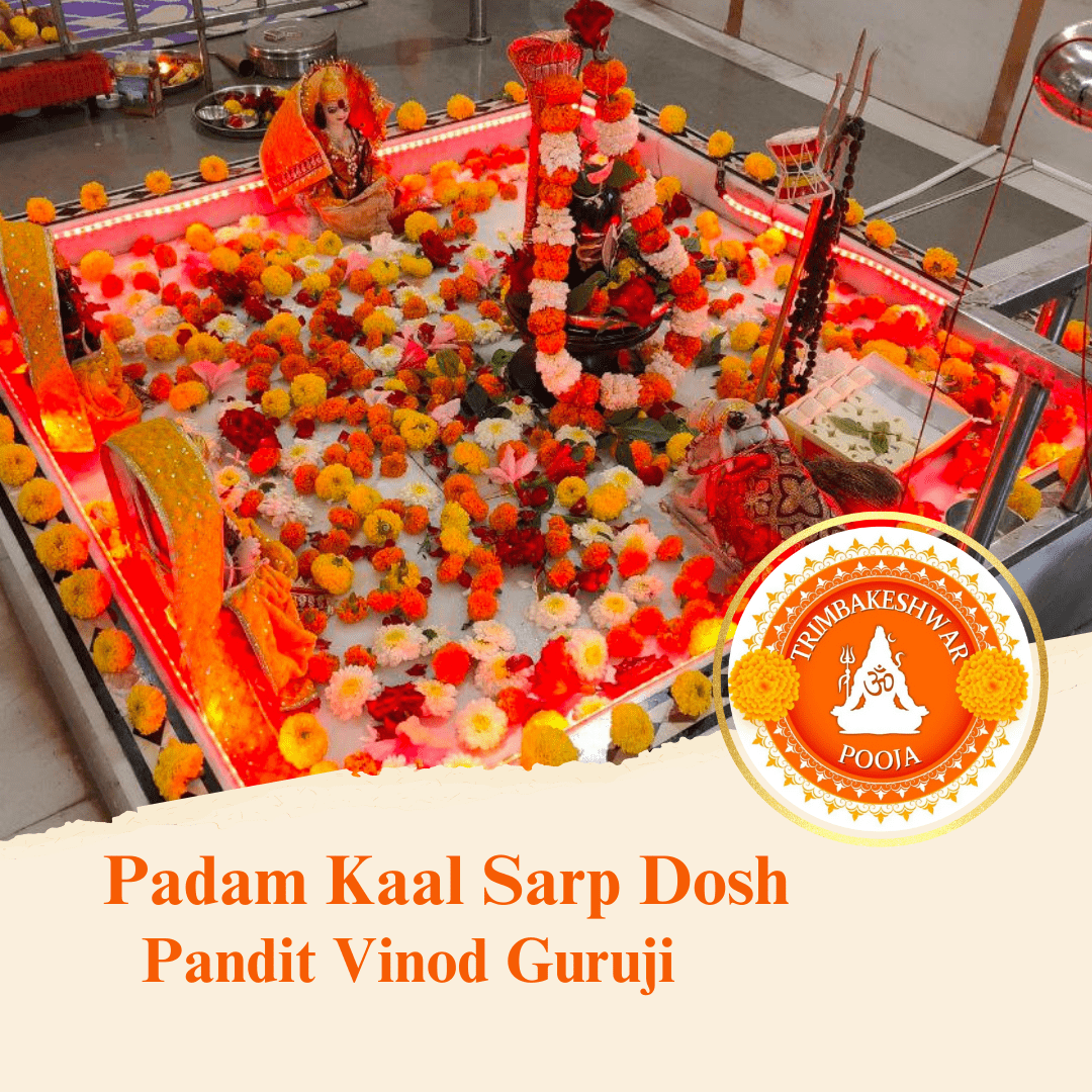 Padma Kaal Sarp Dosh: Obstacles Affecting Life and Career